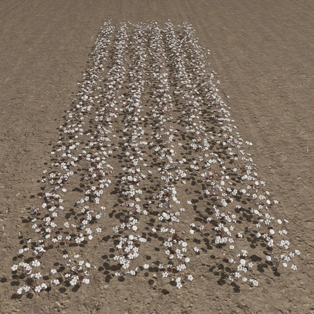 Cotton Plantation 3D Model - TurboSquid 1956298