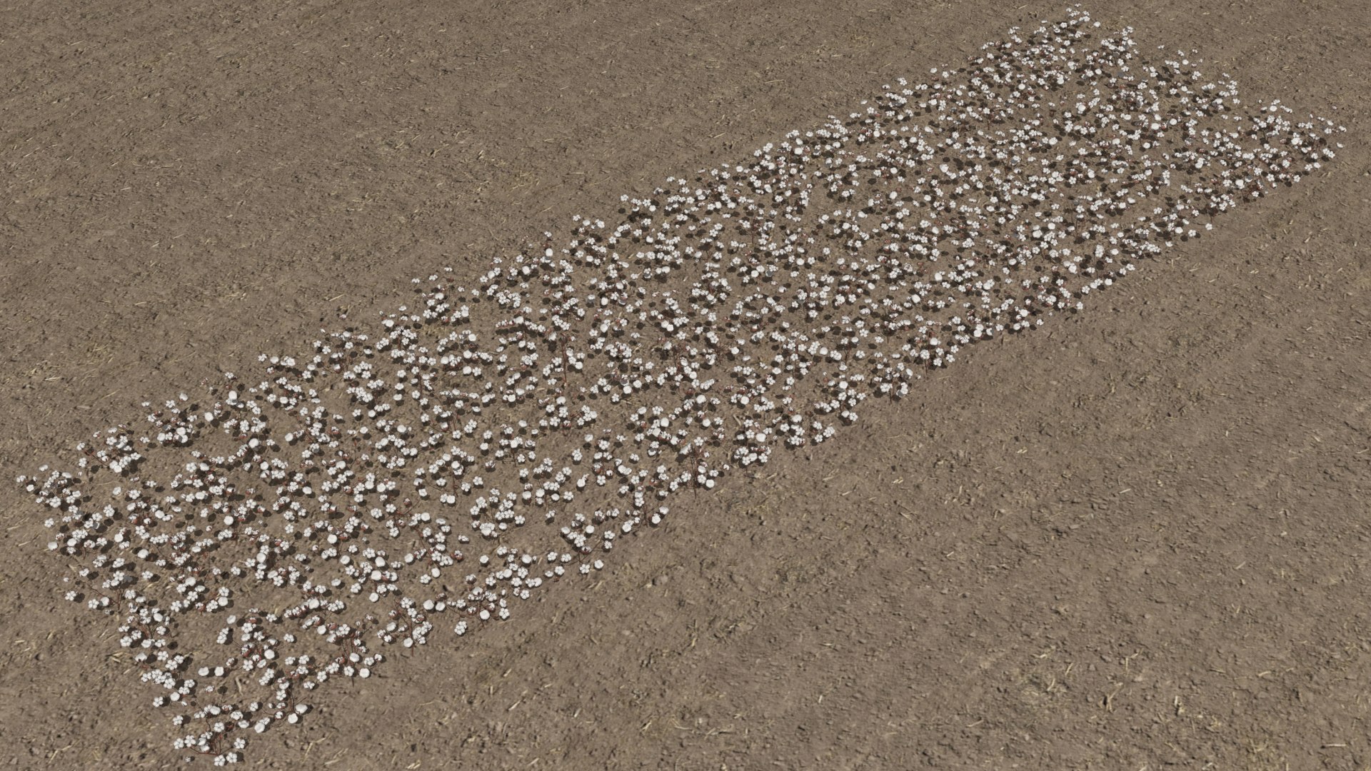 Cotton Plantation 3D Model - TurboSquid 1956298