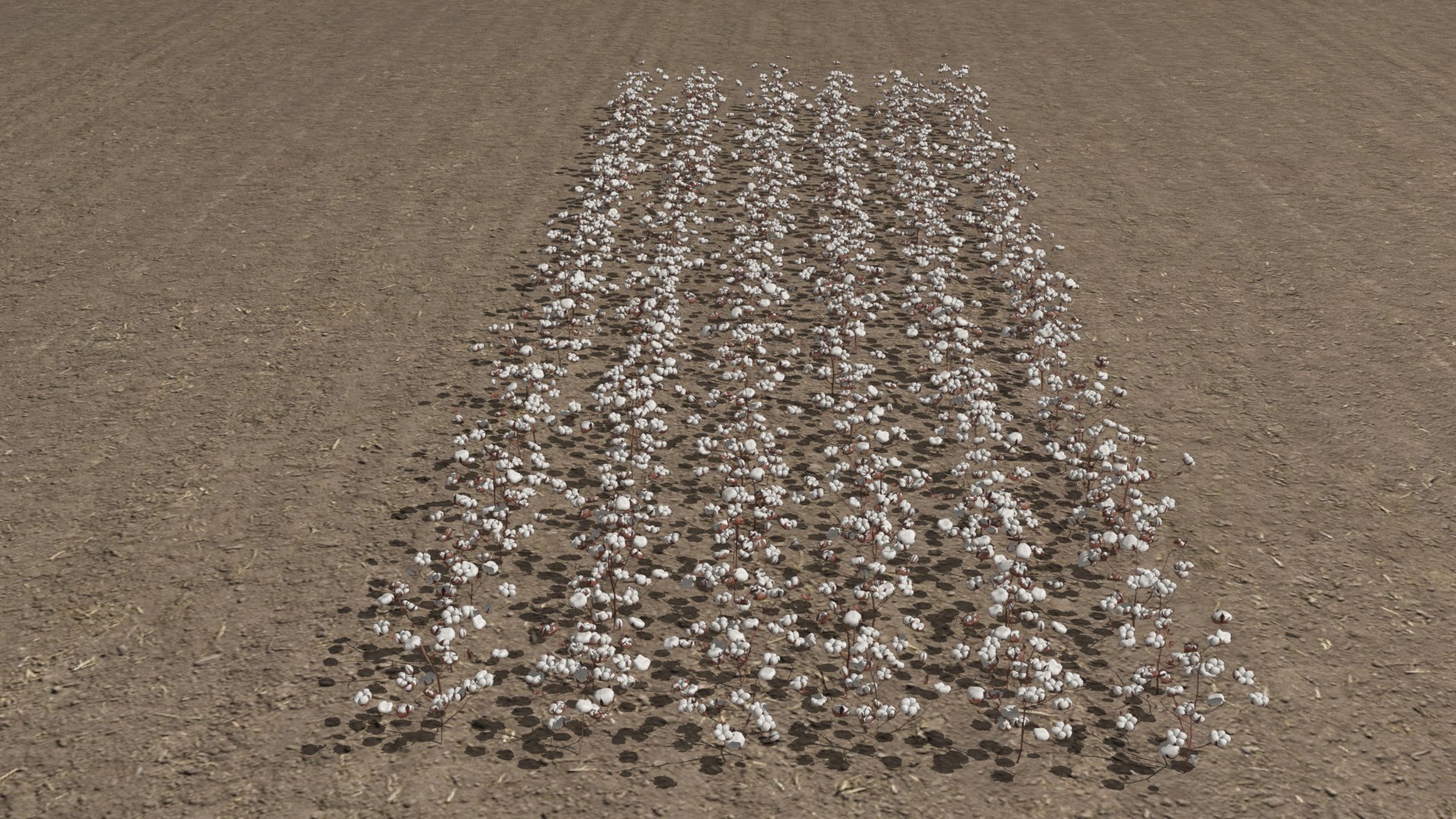 Cotton Plantation 3D Model - TurboSquid 1956298
