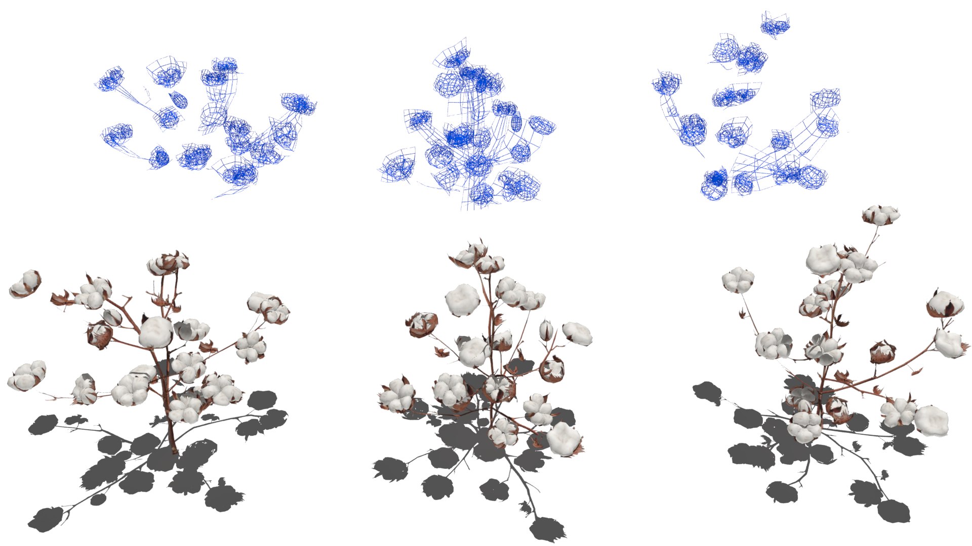 Cotton Plantation 3D Model - TurboSquid 1956298