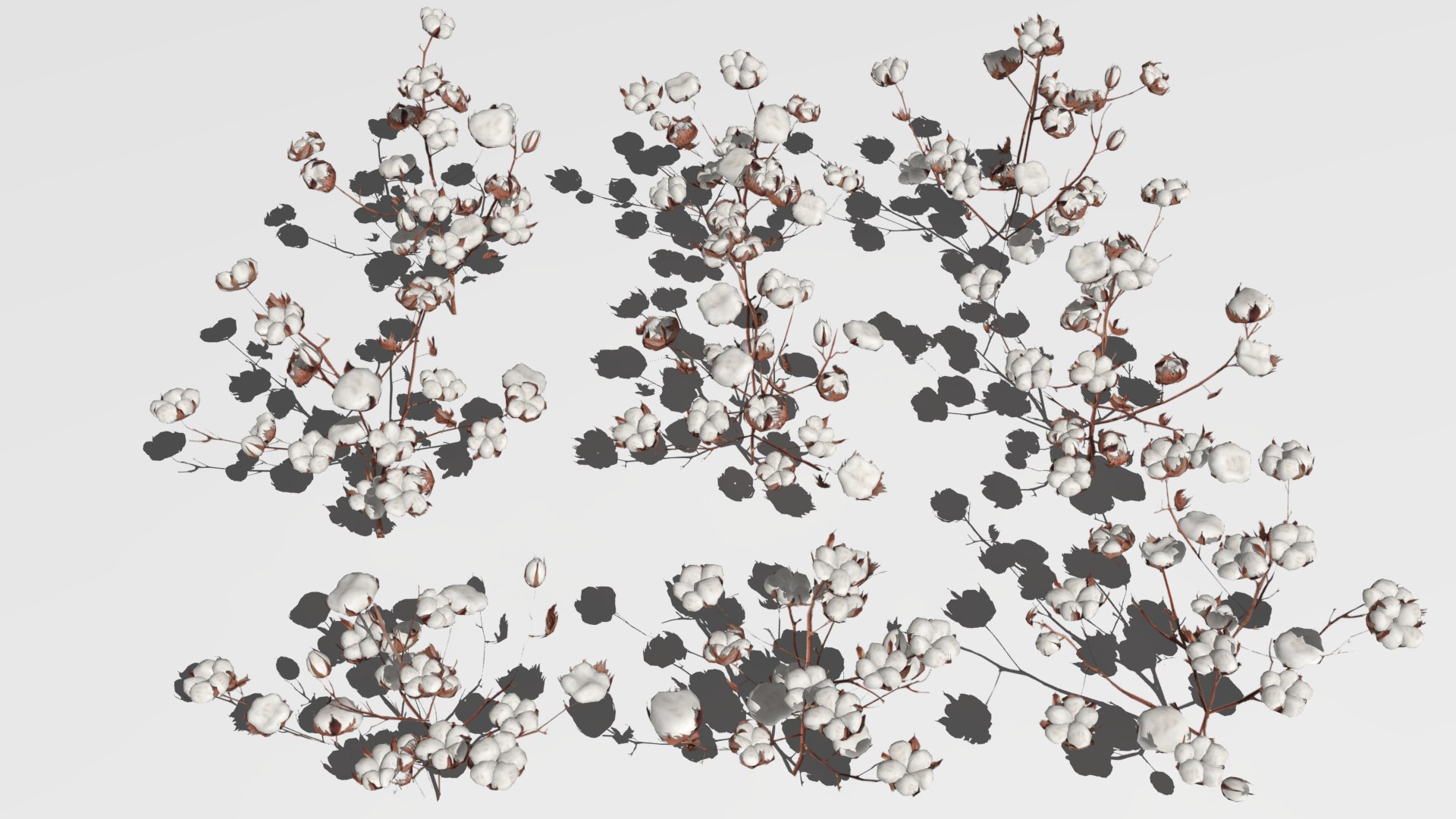 Cotton Plantation 3D Model - TurboSquid 1956298