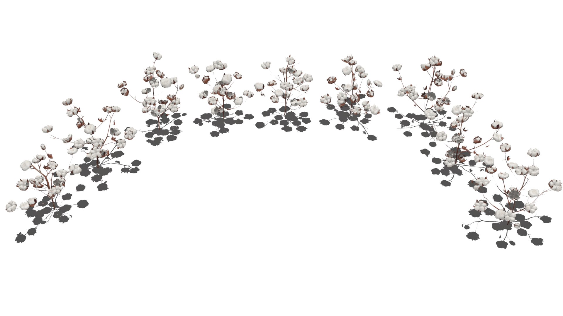 Cotton Plantation 3D Model - TurboSquid 1956298