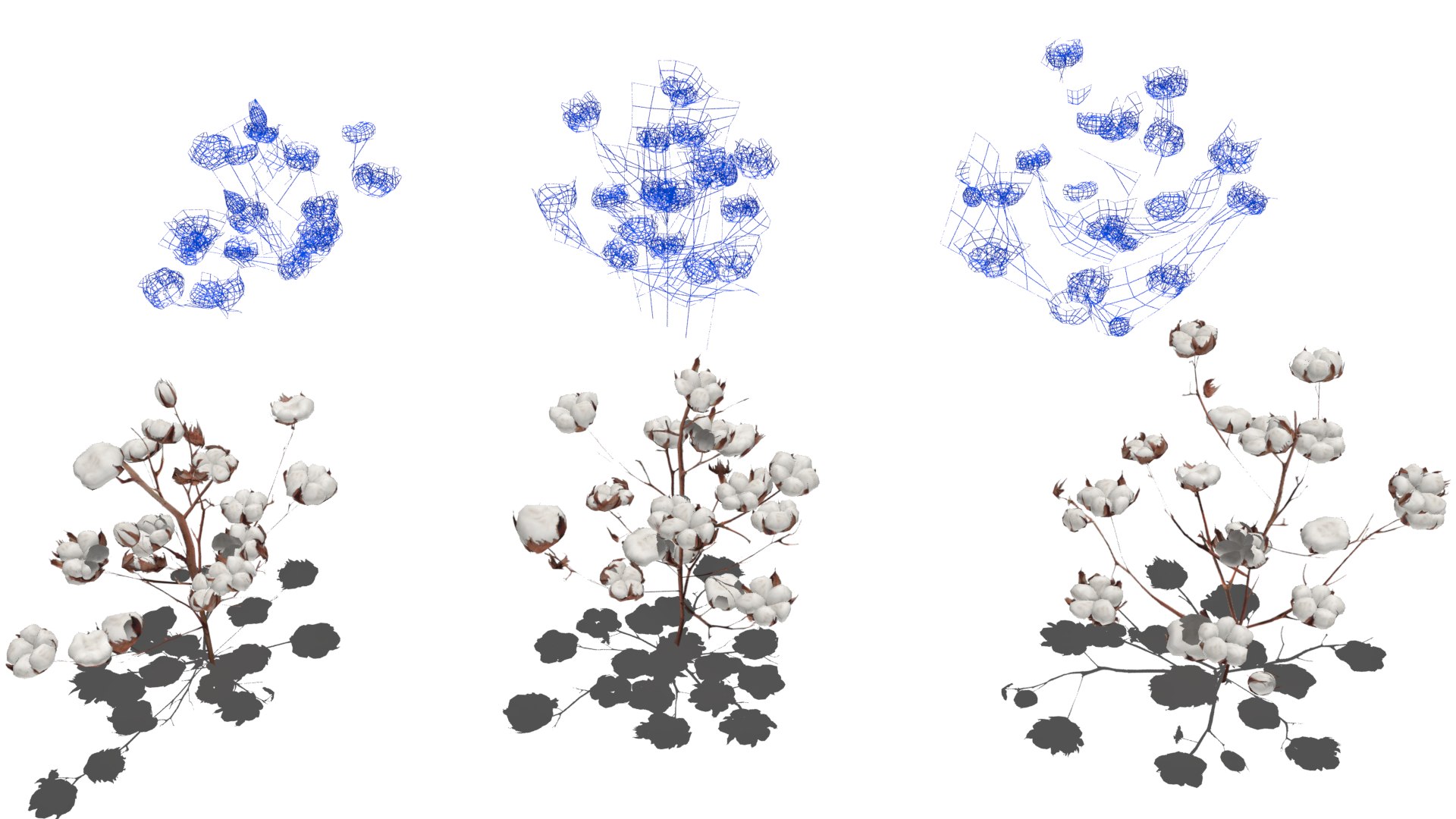 Cotton Plantation 3D Model - TurboSquid 1956298