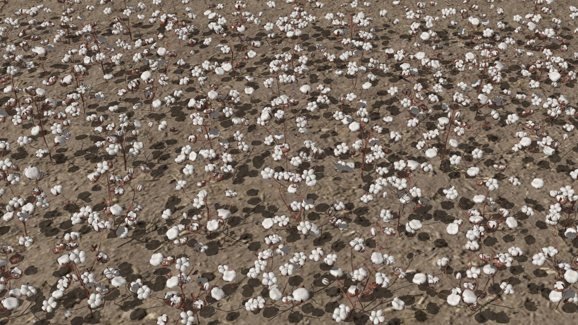 Cotton Plantation 3D Model - TurboSquid 1956298