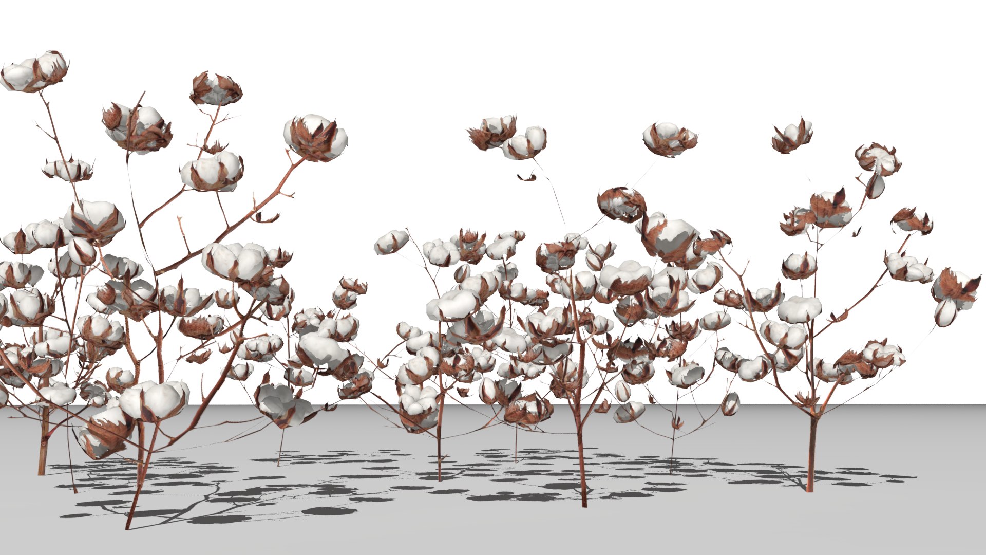 Cotton Plantation 3D Model - TurboSquid 1956298