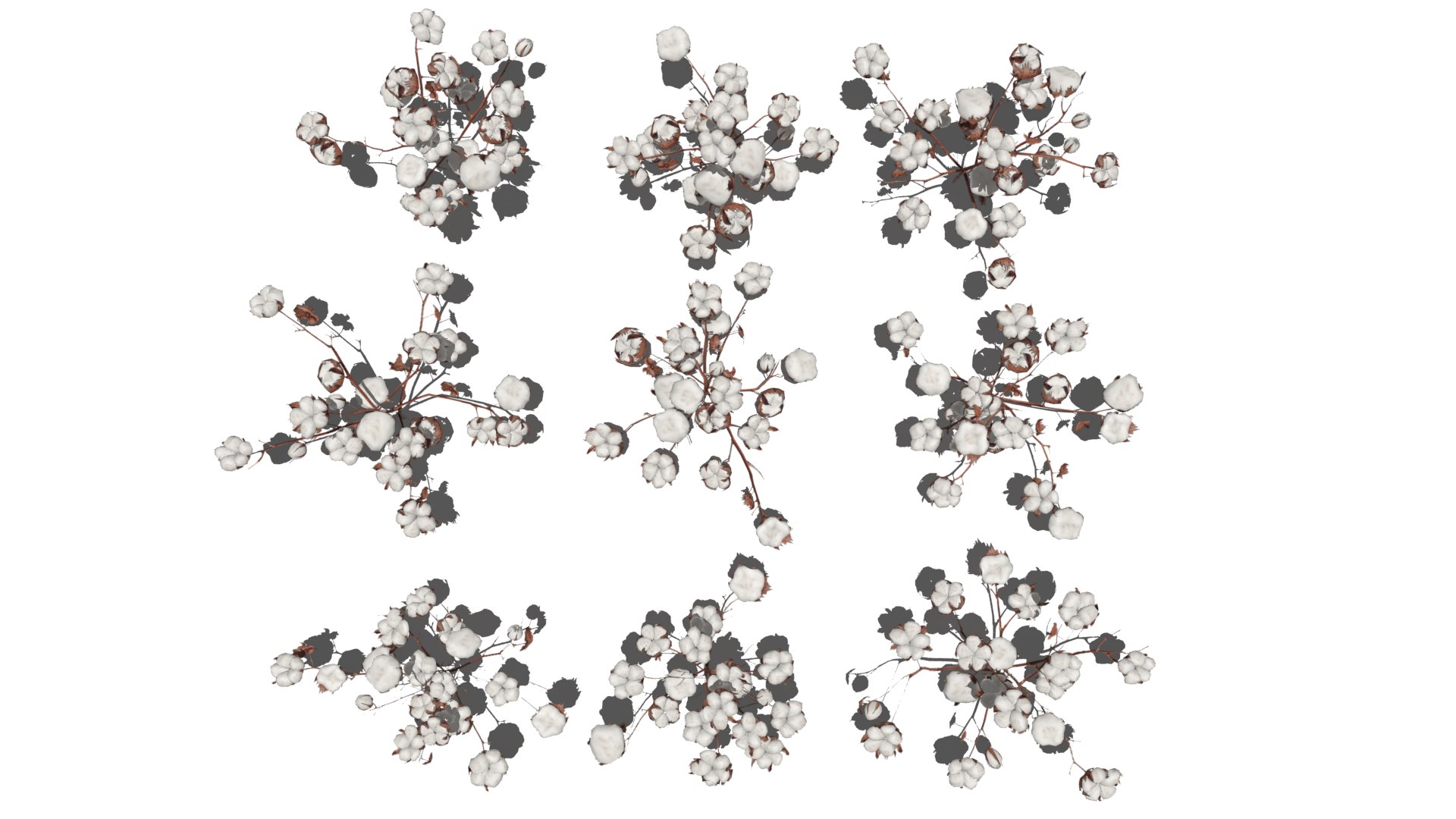 Cotton Plantation 3D Model - TurboSquid 1956298
