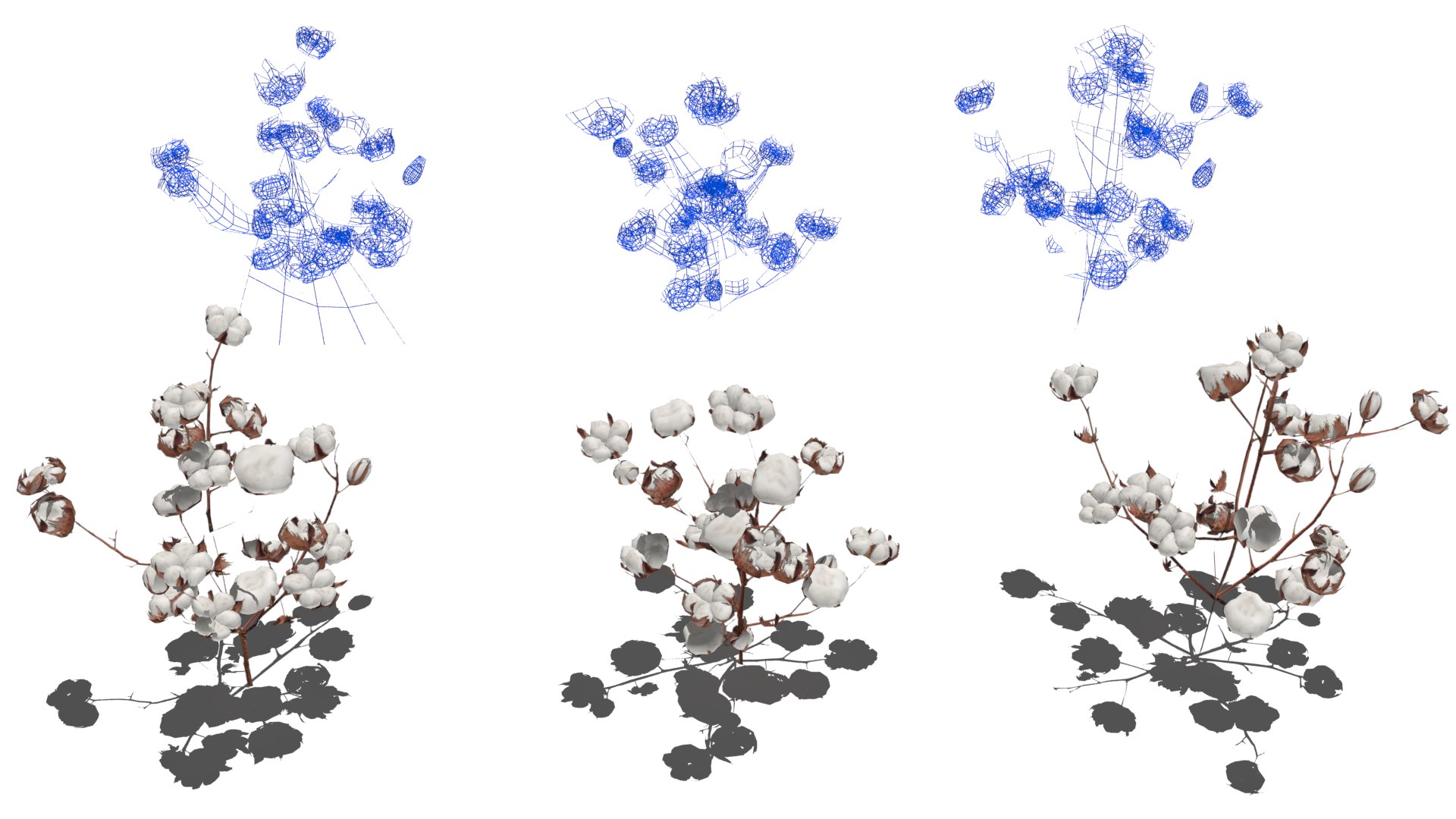 Cotton Plantation 3D Model - TurboSquid 1956298