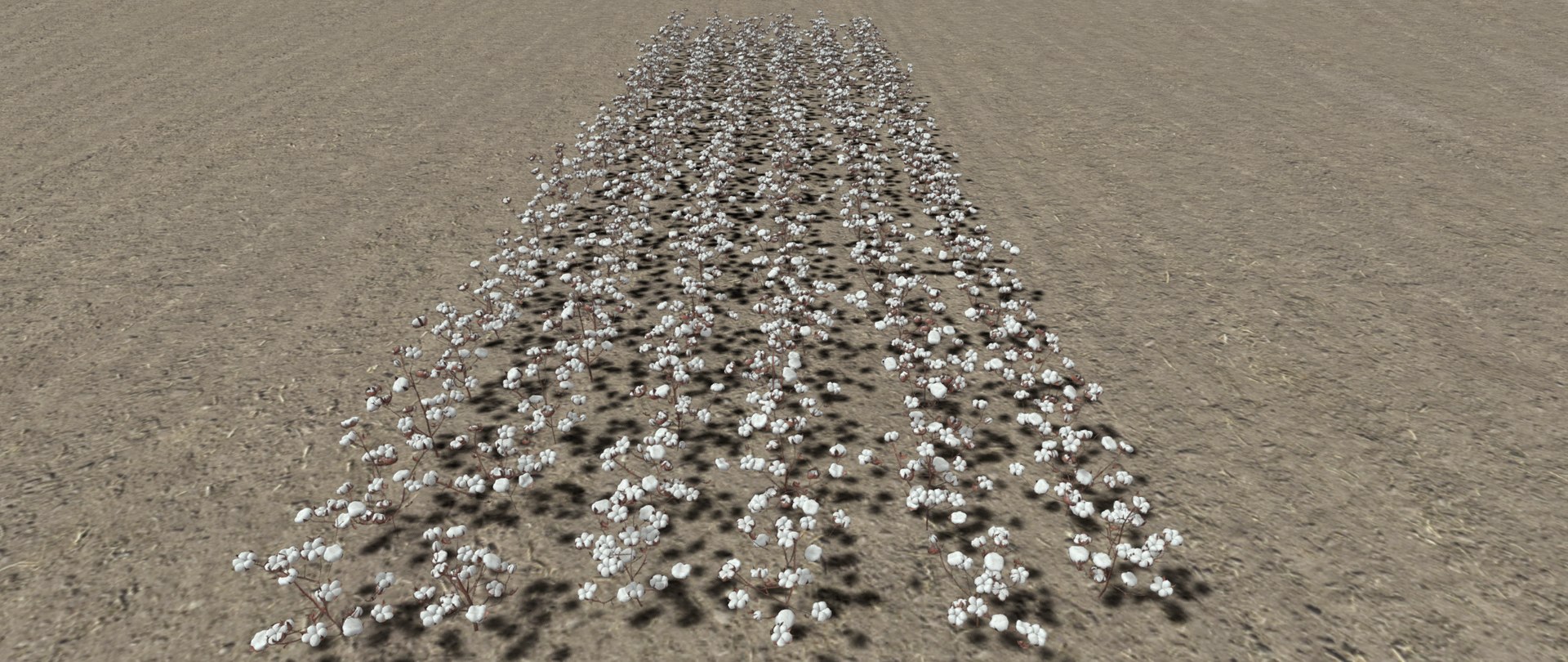 Cotton Plantation 3D Model - TurboSquid 1956298