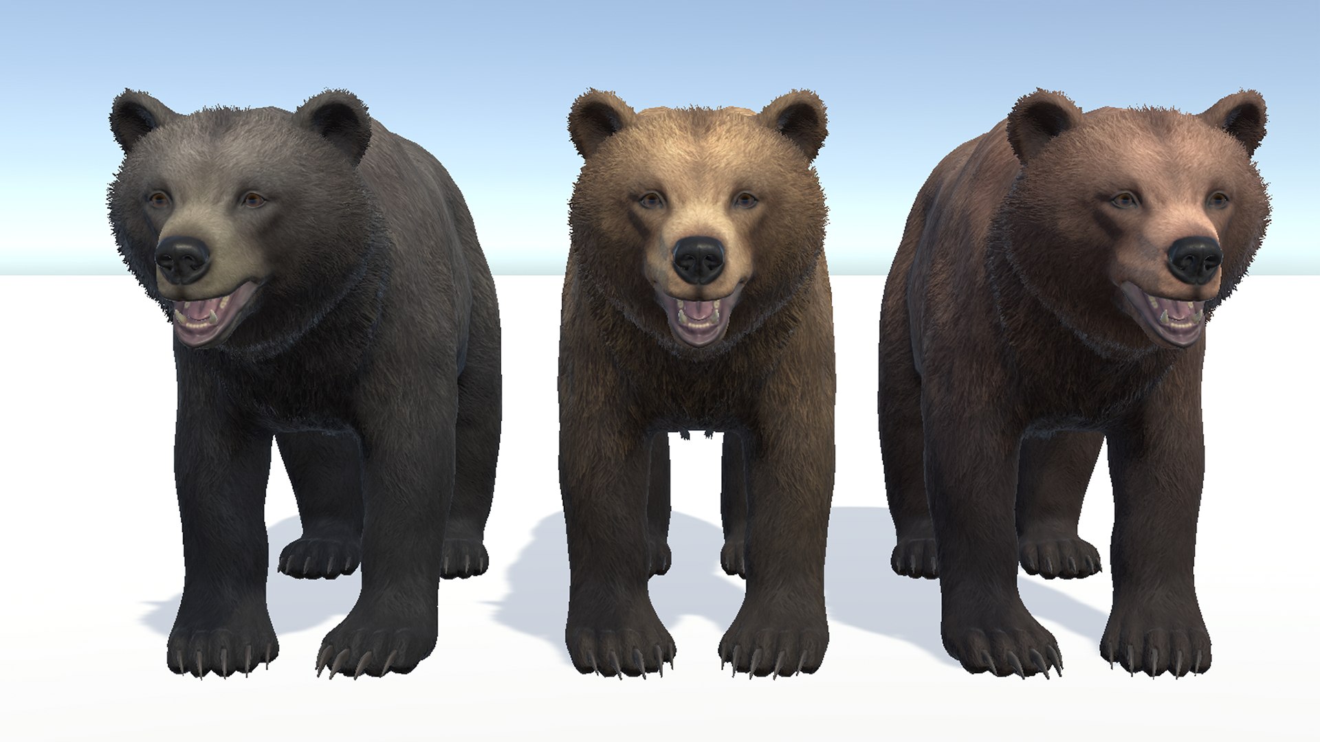 Bear - Female 3D Model - TurboSquid 2103060