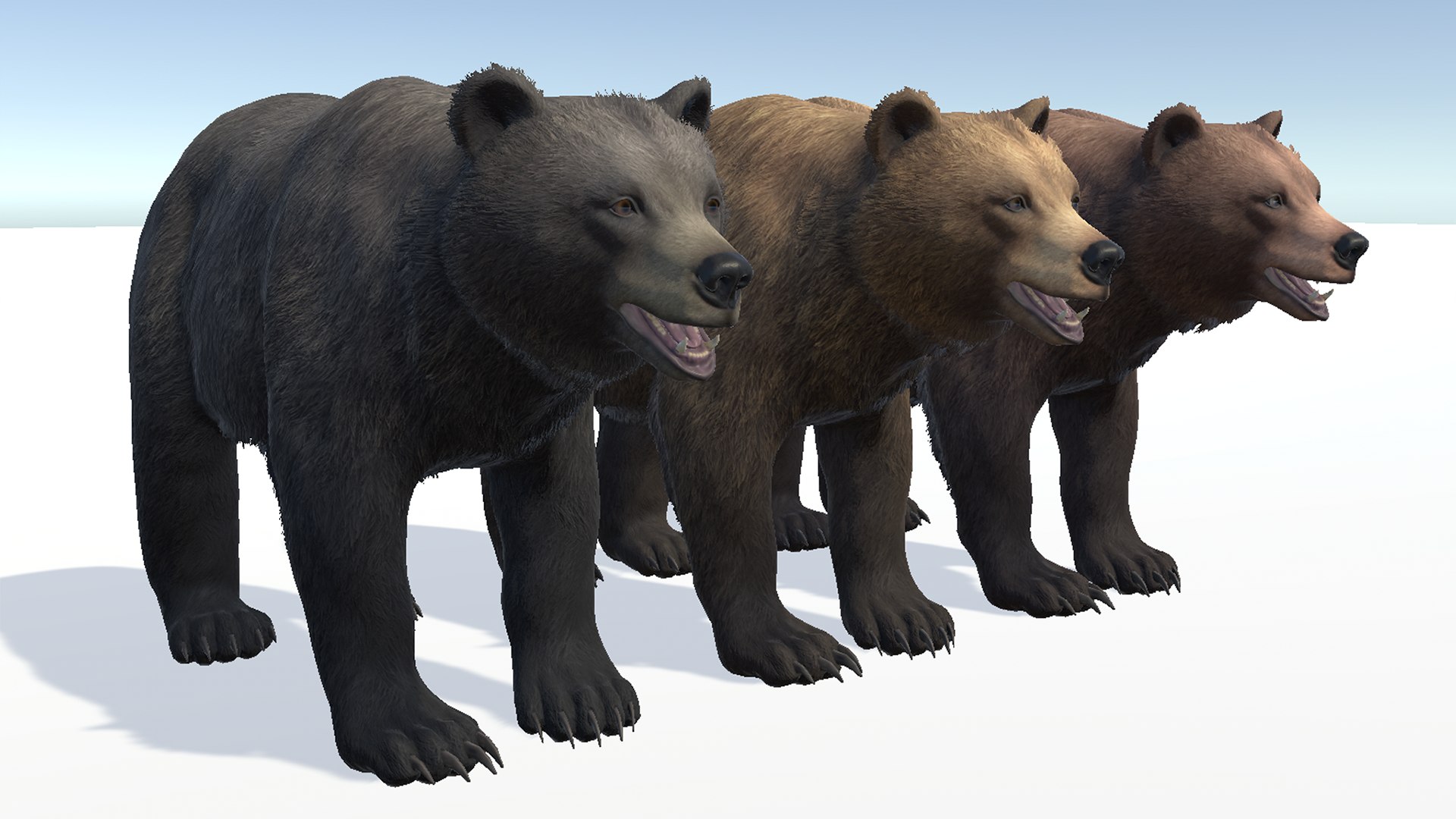 Bear - Female 3D Model - TurboSquid 2103060