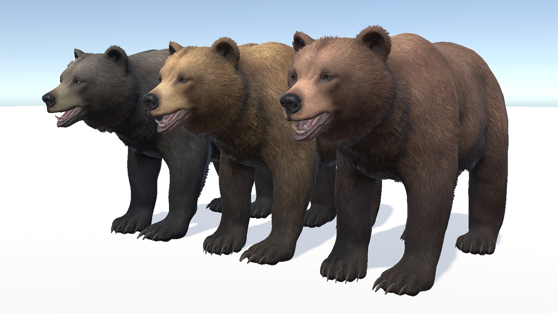 Bear - Female 3D Model - TurboSquid 2103060