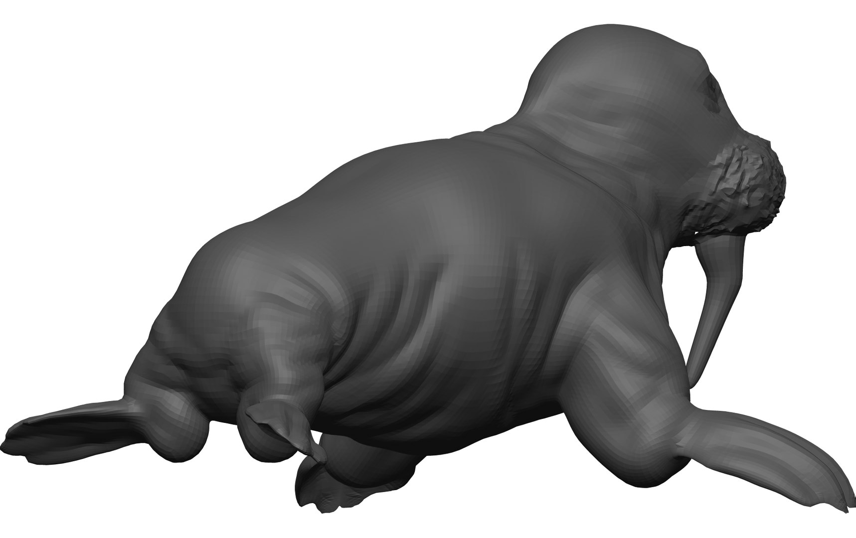 Walrus Stl 3D Model - TurboSquid 1774309