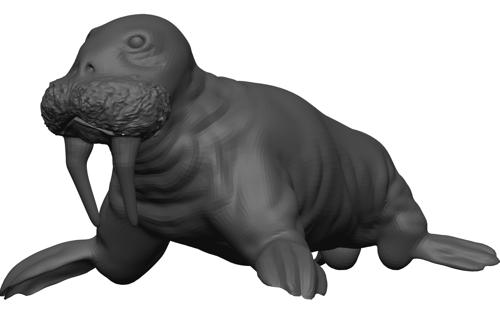 Walrus Stl 3D Model - TurboSquid 1774309