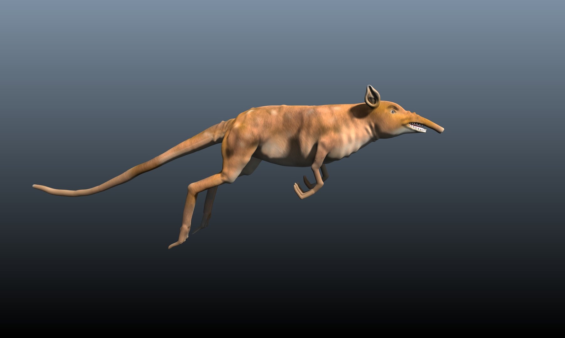 Leptictidium Shrews 3d Obj