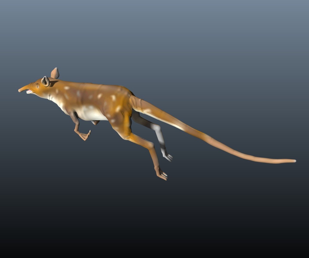 Leptictidium Shrews 3d Obj