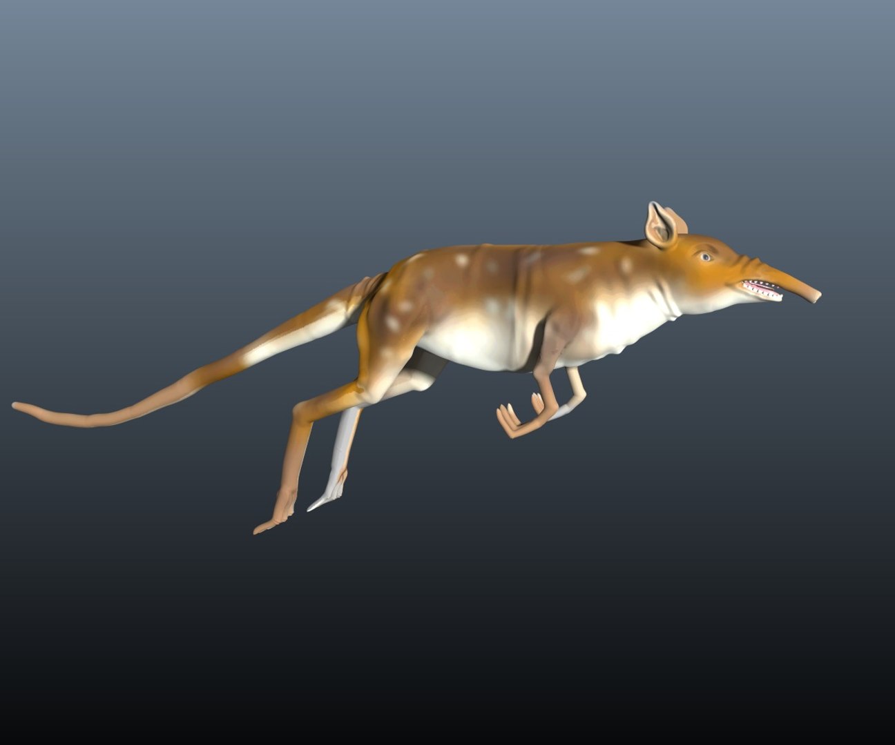 Leptictidium Shrews 3d Obj