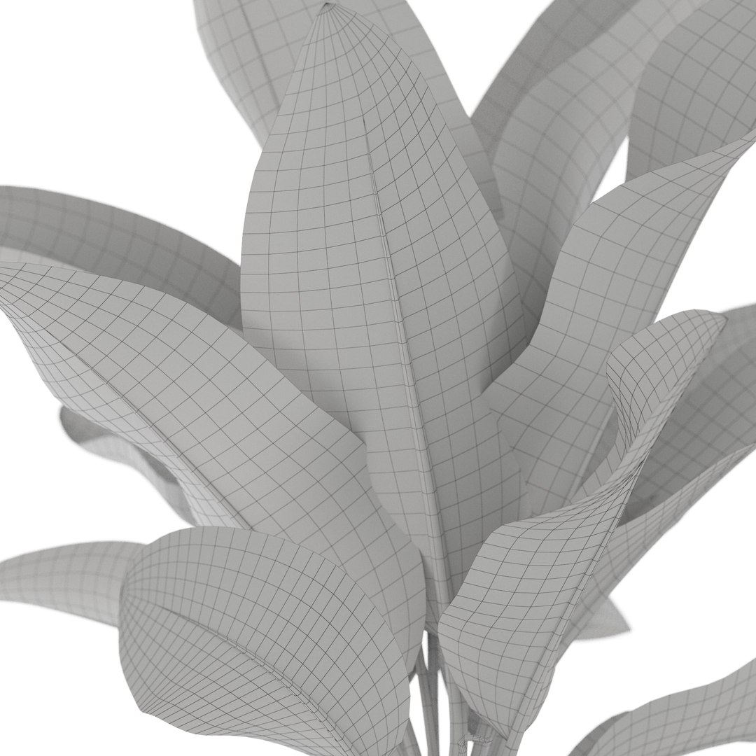 3D Model Plants Collection 1164 - TurboSquid 2287688