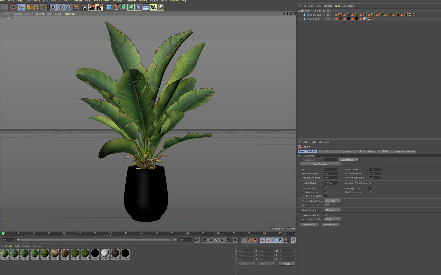 3D Model Plants Collection 1164 - TurboSquid 2287688