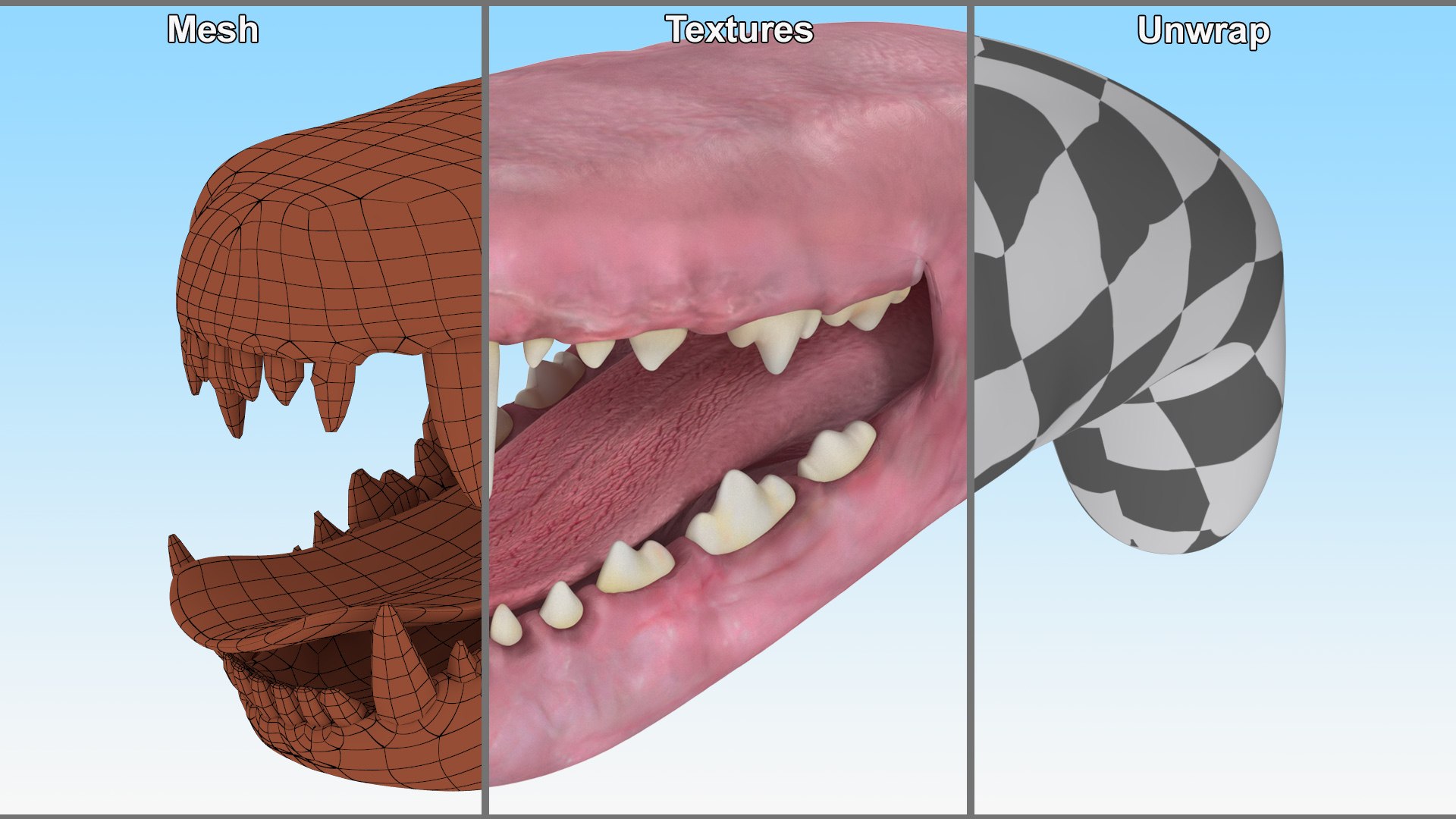 3D Dog Jaw Anatomic Rigged - TurboSquid 2214631