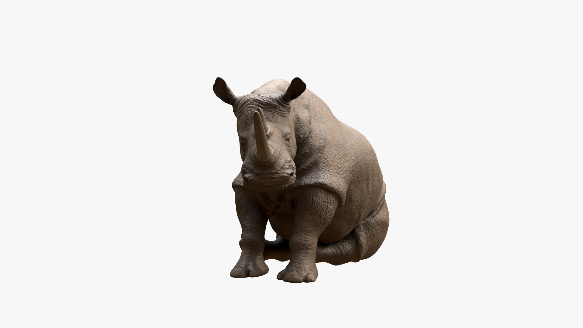 Sitting Rhino 3D Model - TurboSquid 1728880