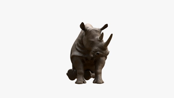 Sitting Rhino 3D model - TurboSquid 1728880