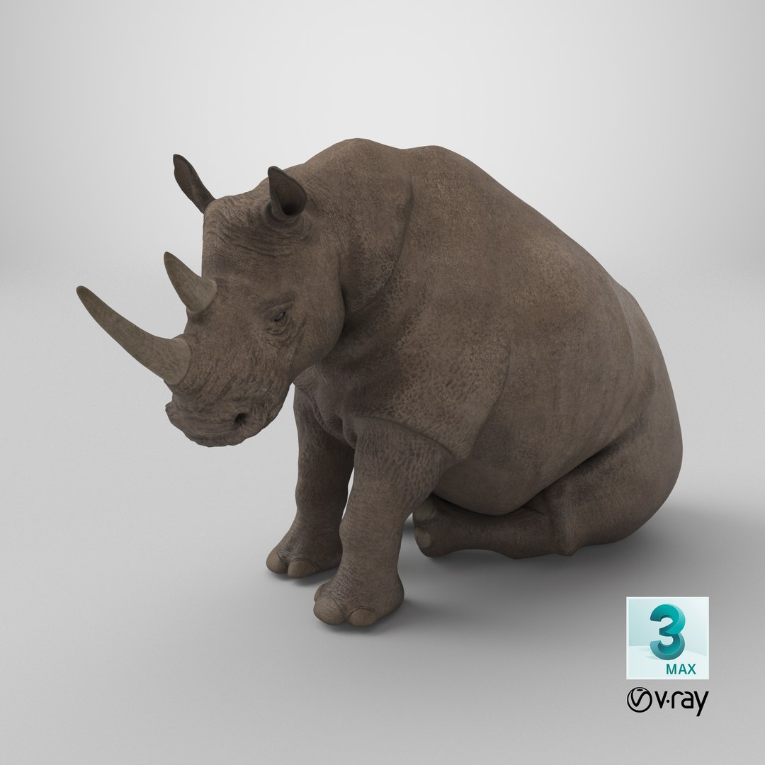 Sitting Rhino 3D Model - TurboSquid 1728880