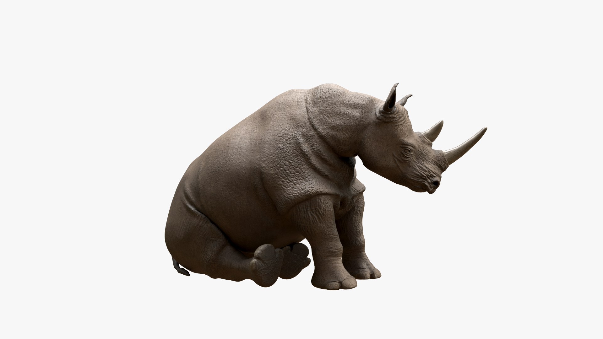 Sitting Rhino 3D Model - TurboSquid 1728880
