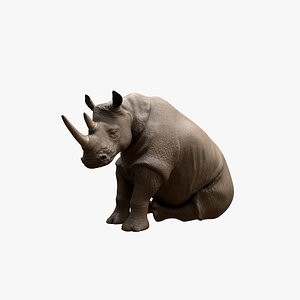 Free 3D Rhino Models | TurboSquid