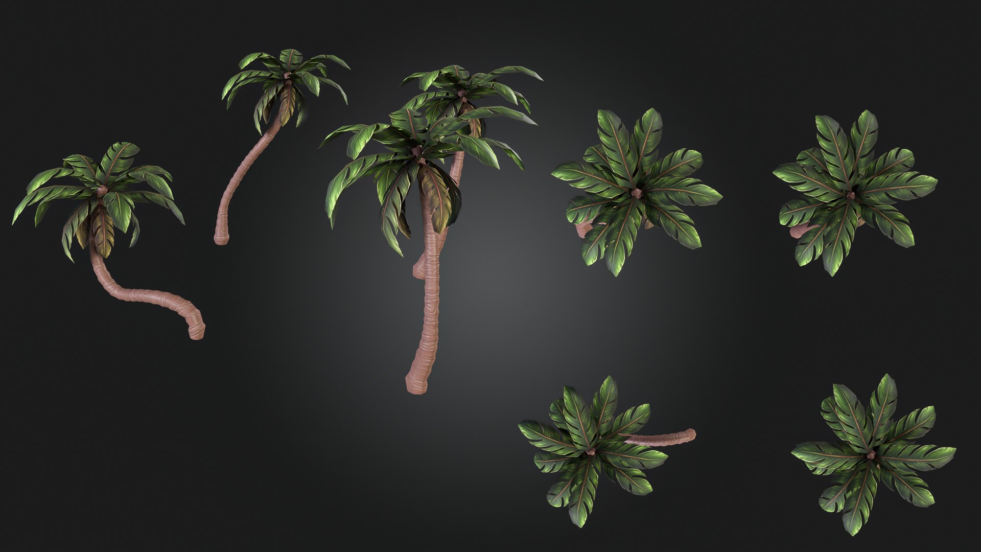 Palm 3D Model - TurboSquid 2222283
