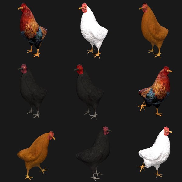 Chicken Blender Models for Download | TurboSquid