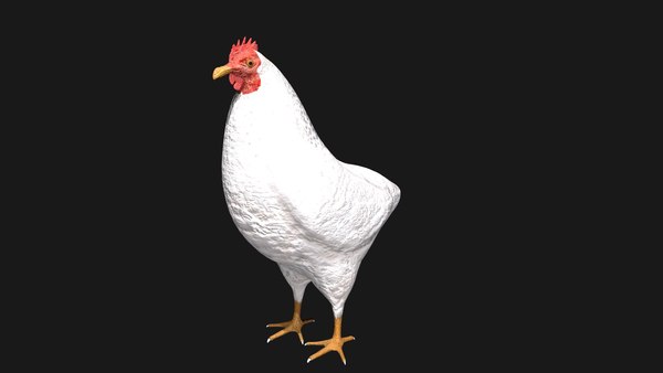 3D chicken rigged model - TurboSquid 1664753