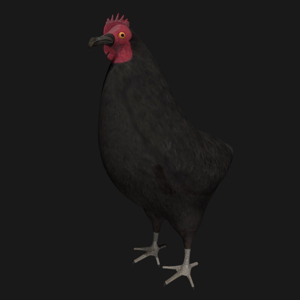 3D chicken rigged model - TurboSquid 1664753