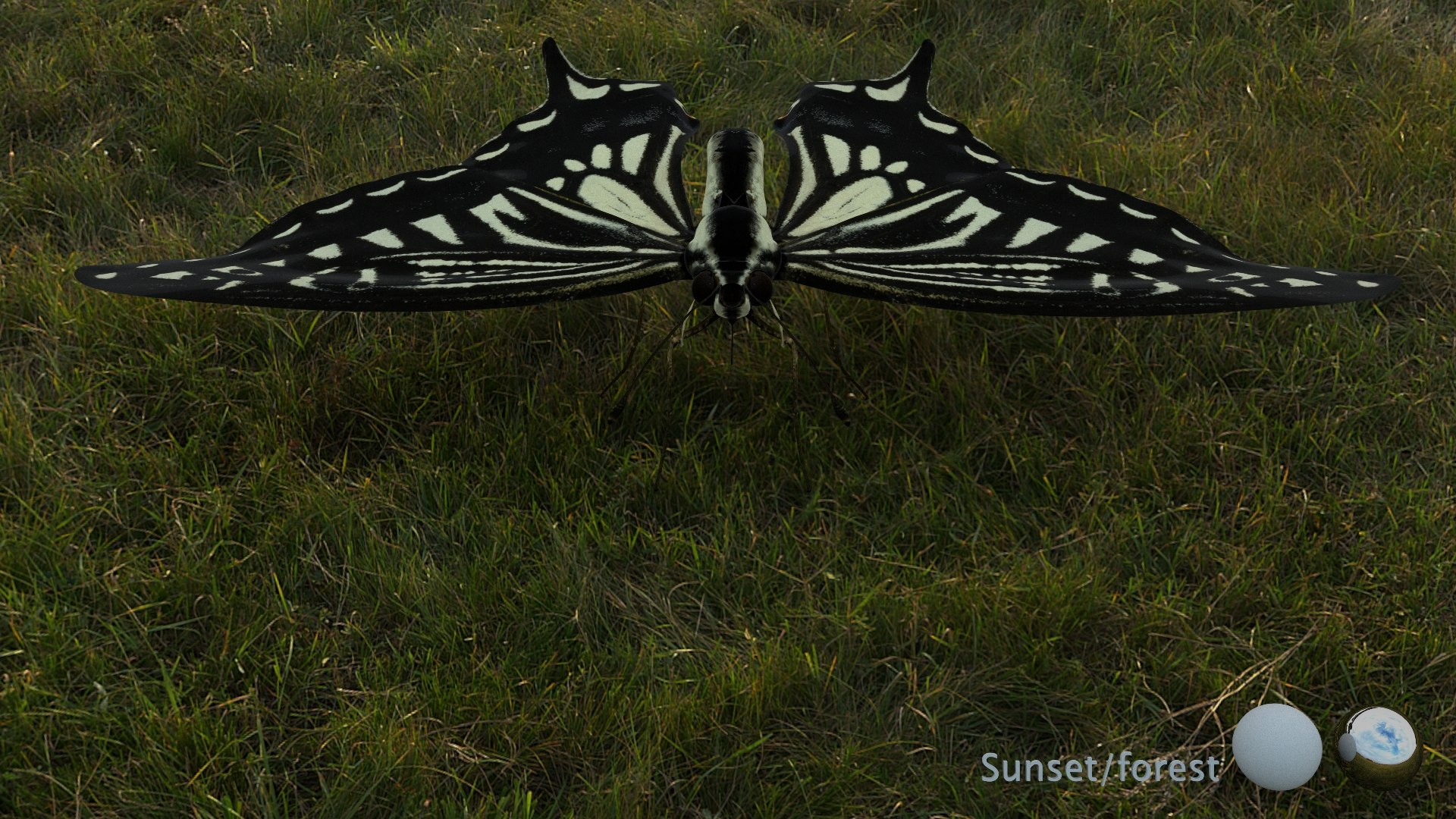 3D Rigged swallowTail model - TurboSquid 2013340