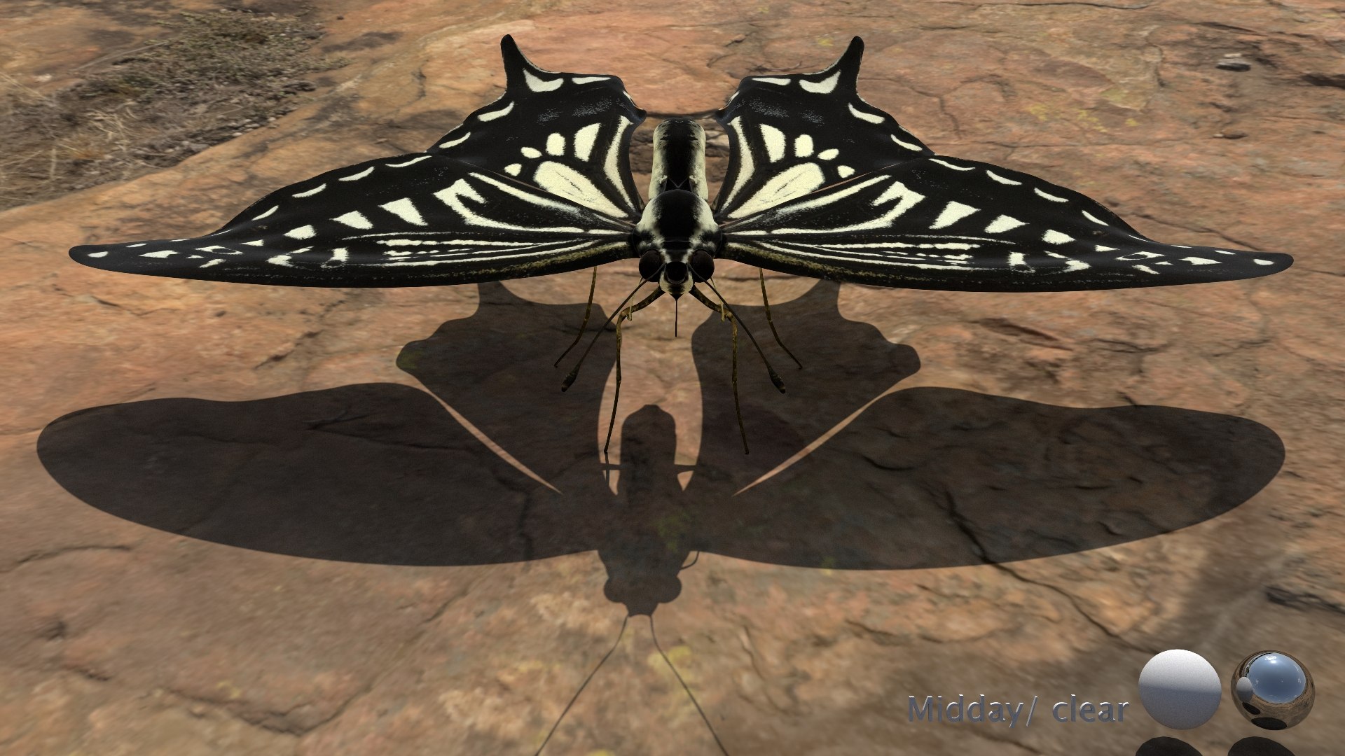 3D Rigged swallowTail model - TurboSquid 2013340