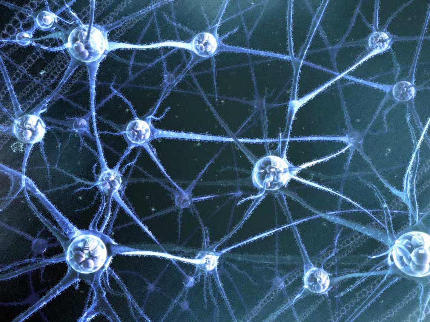 3d Neurons Animation