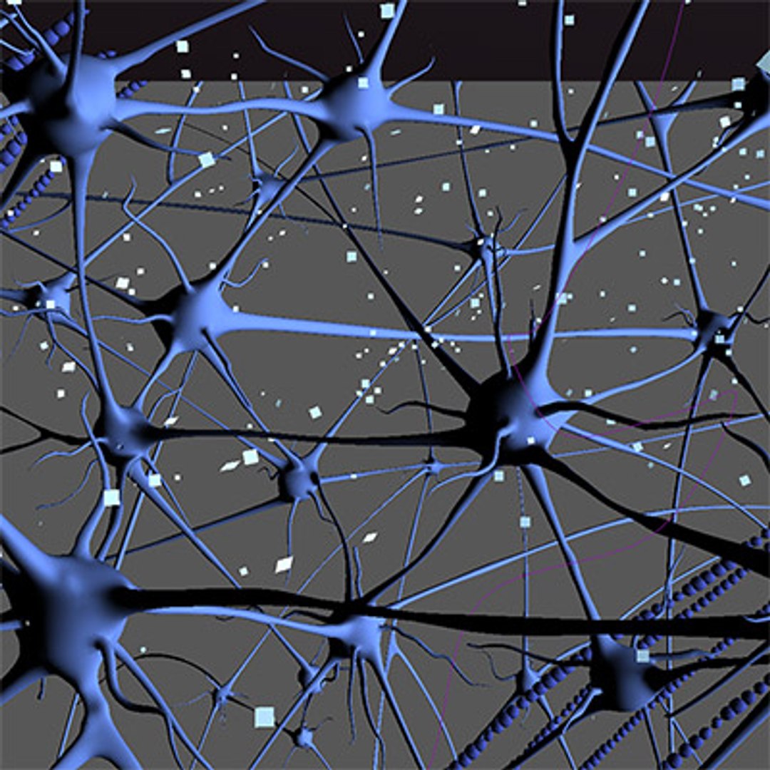 3d Neurons Animation