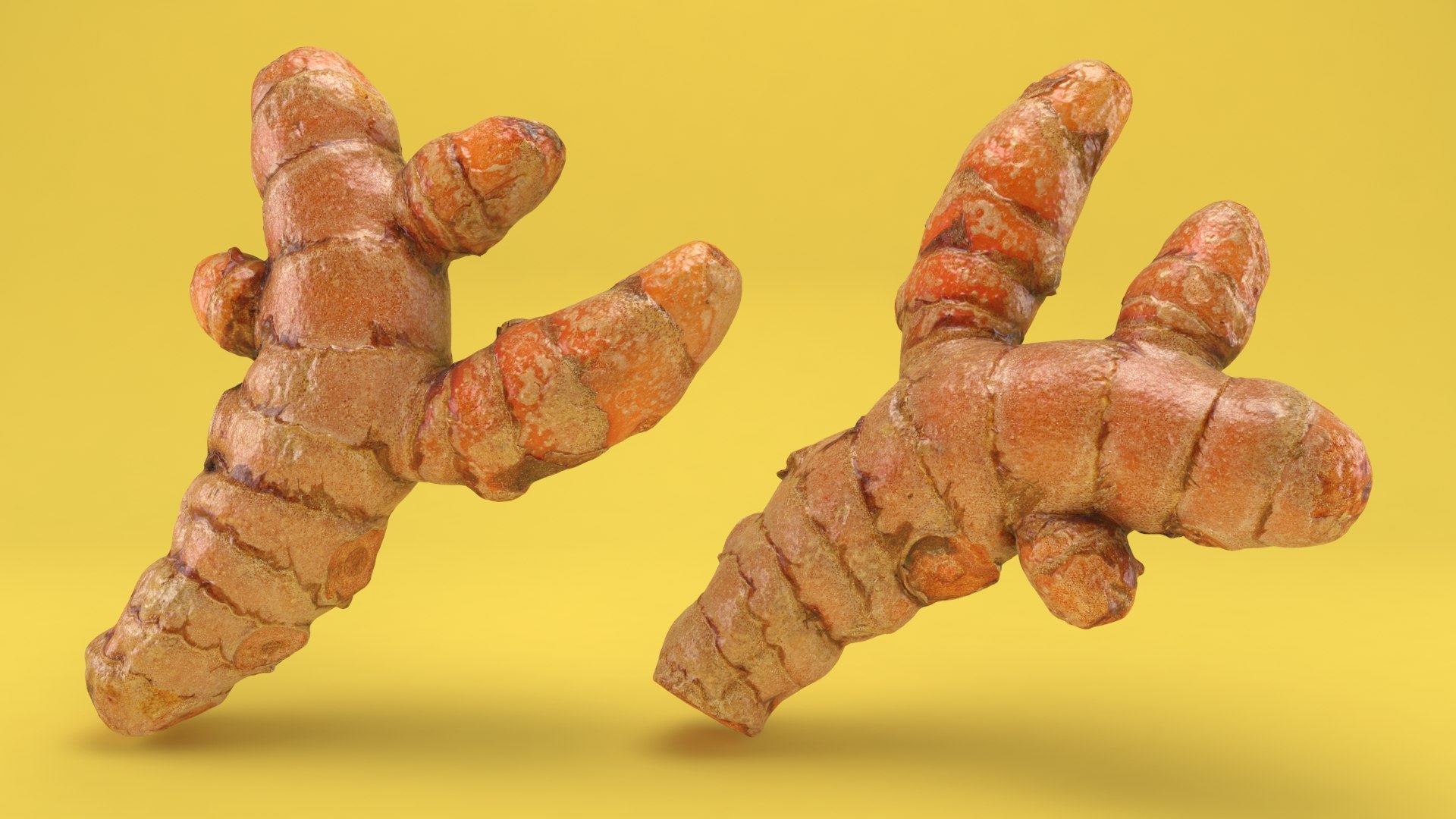 Whole Turmeric And Slices V1 3D Model - TurboSquid 1864938
