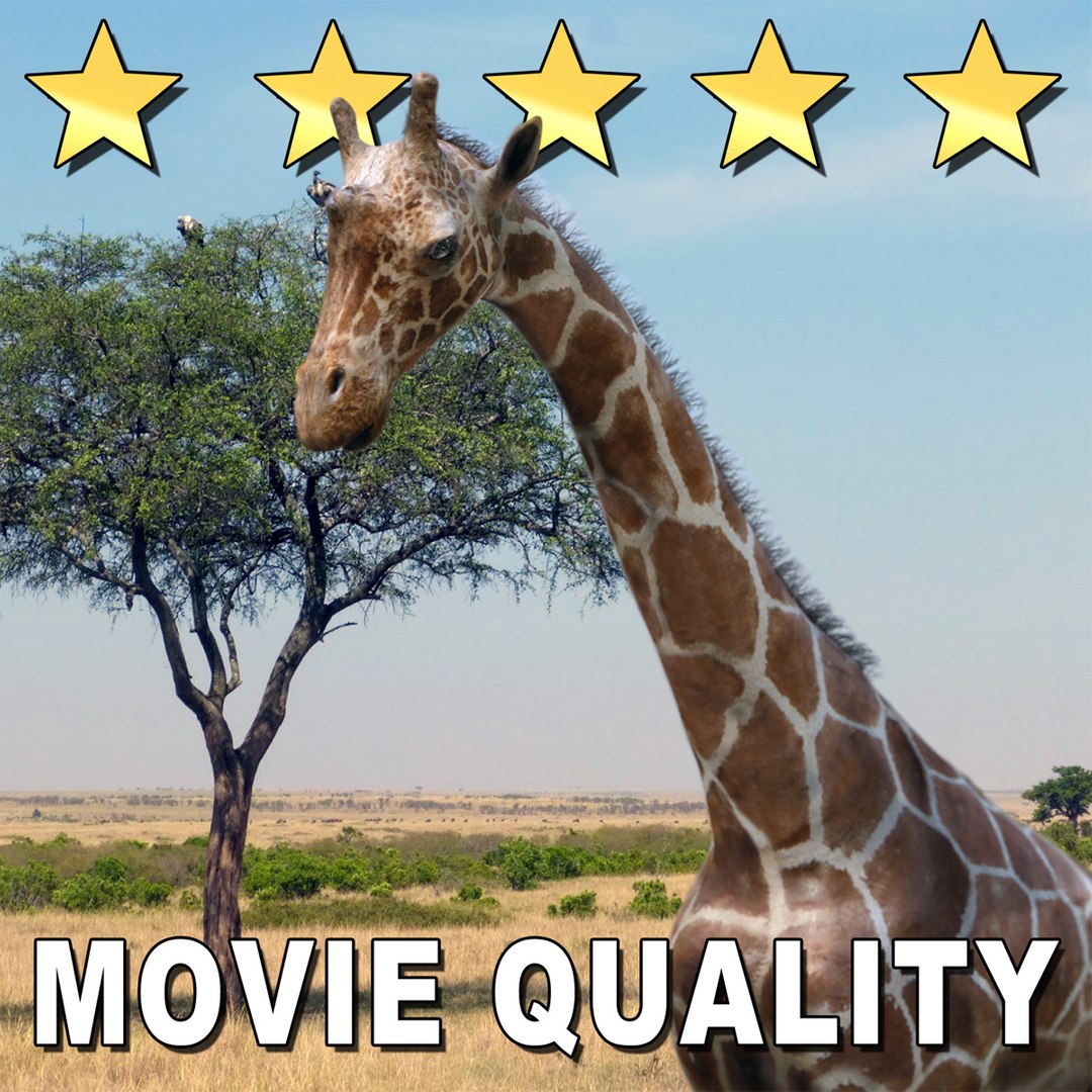 Movie Giraffe Obj
