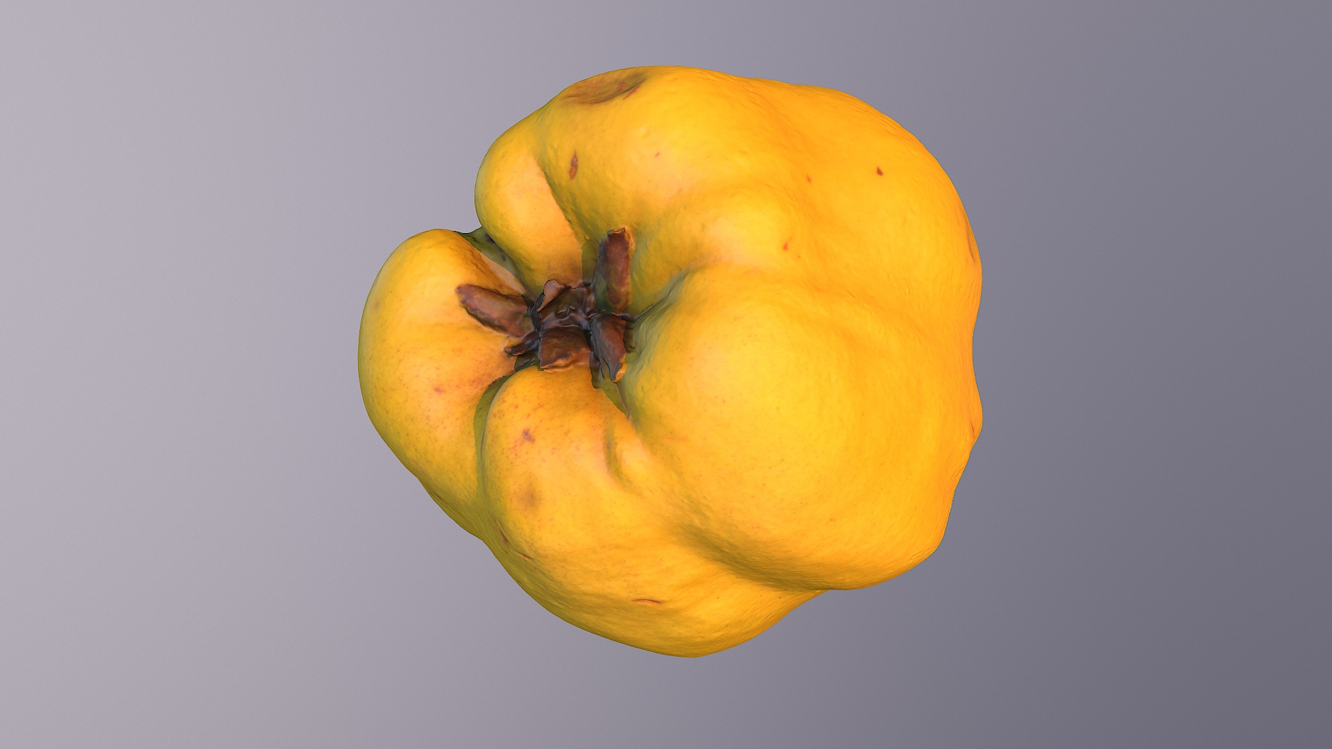 3D Quince Fruit 03 High-poly 3D Model Model - TurboSquid 1808865