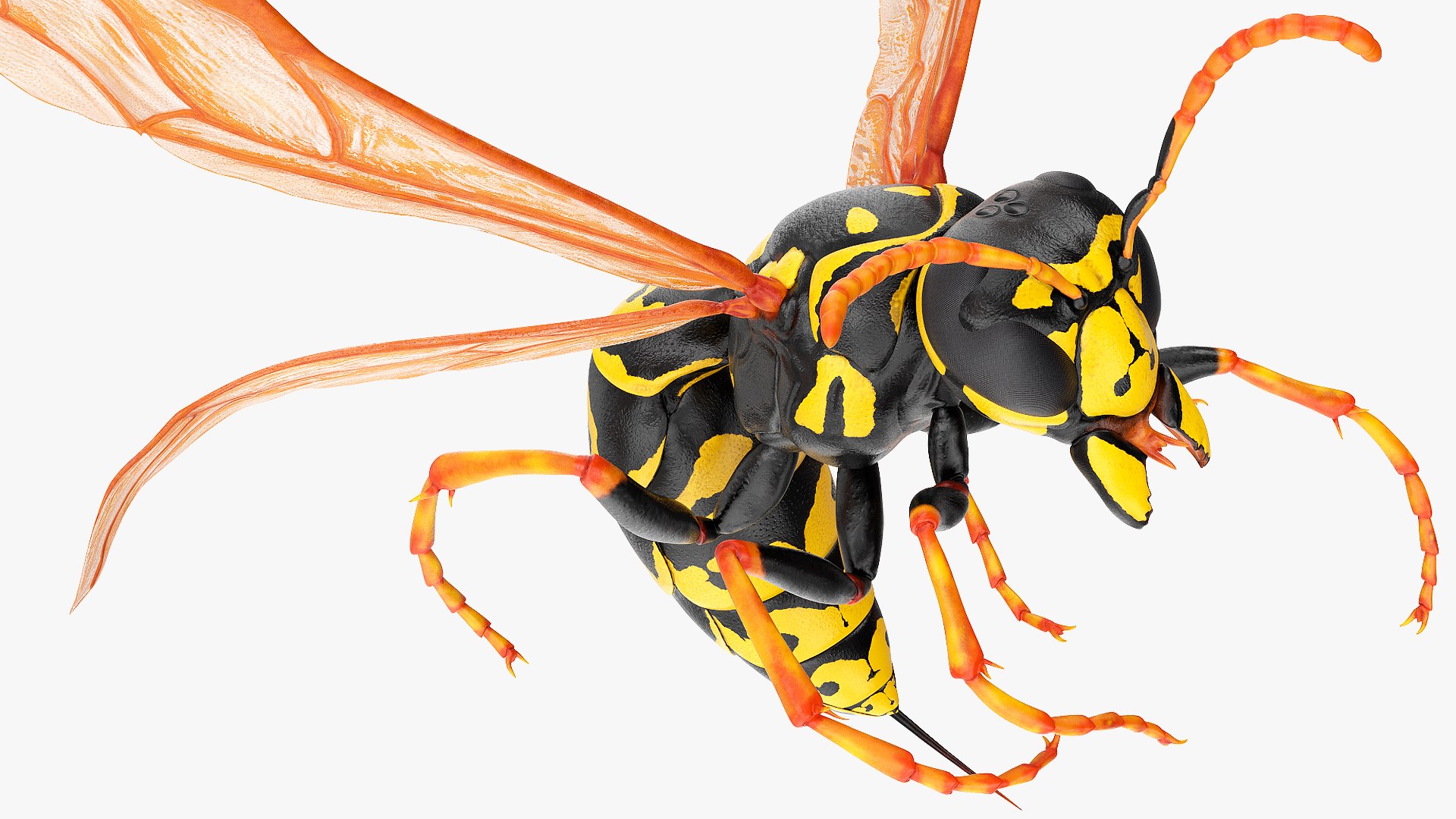 Paper wasp rigged 3D model - TurboSquid 1623876