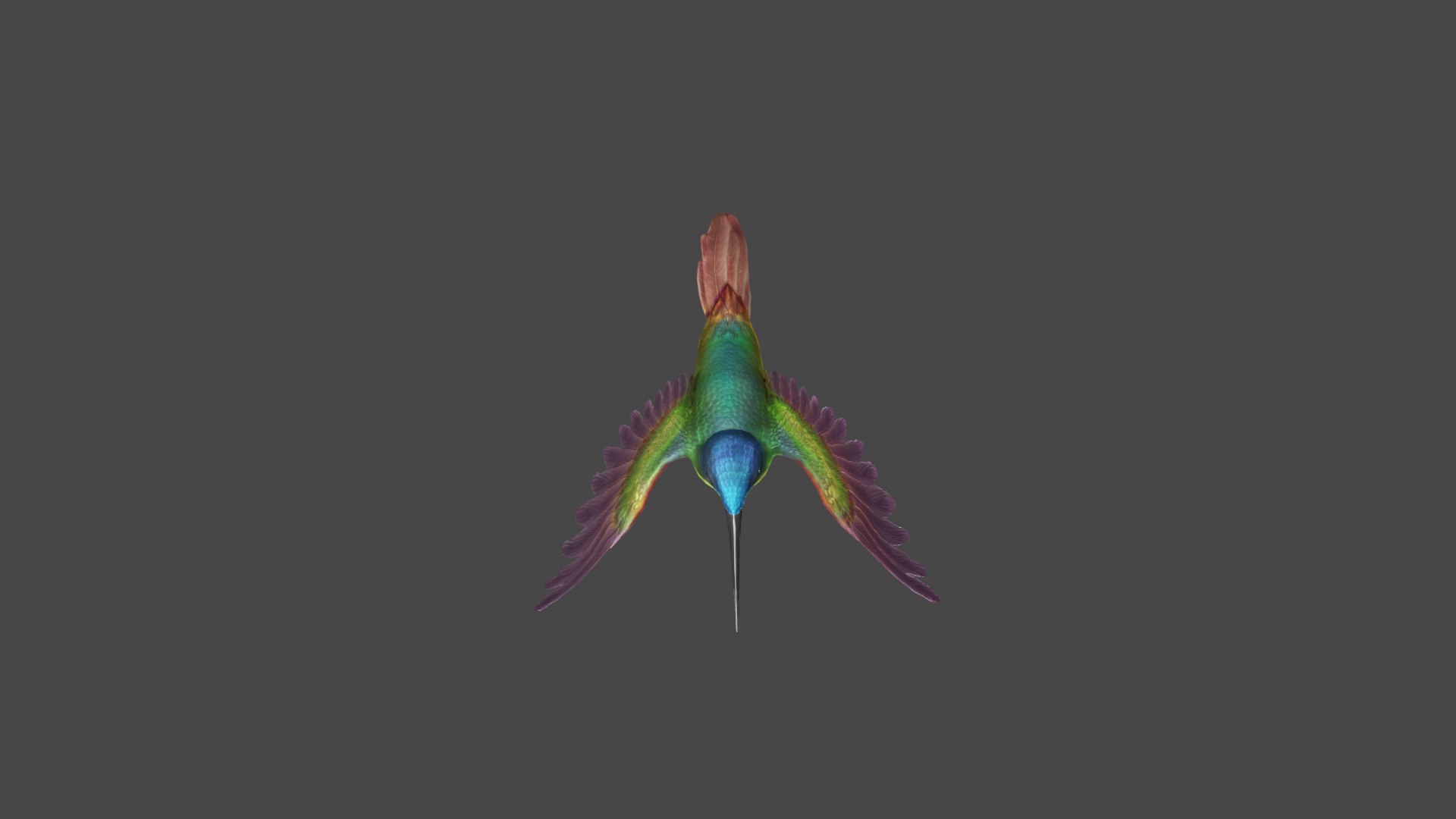 Flying Humming Bird 3D Model - TurboSquid 2360289