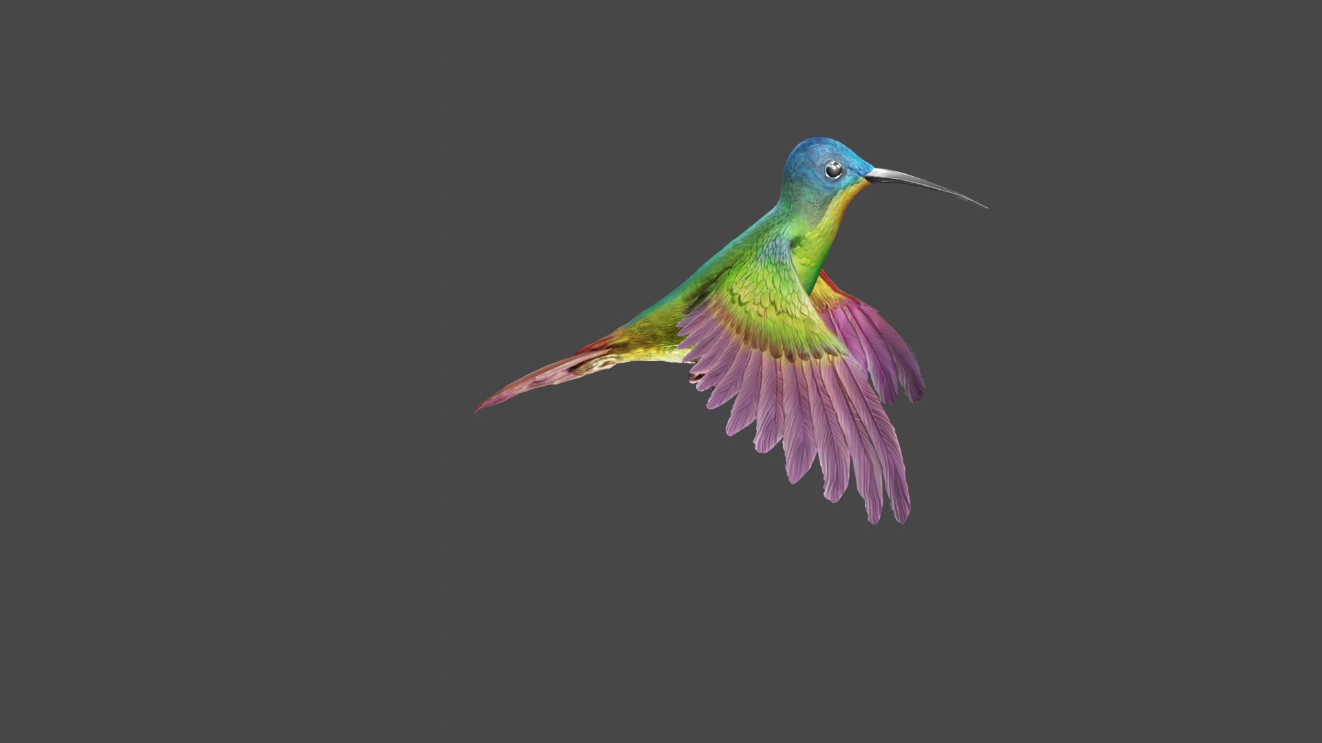 Flying Humming Bird 3D Model - TurboSquid 2360289
