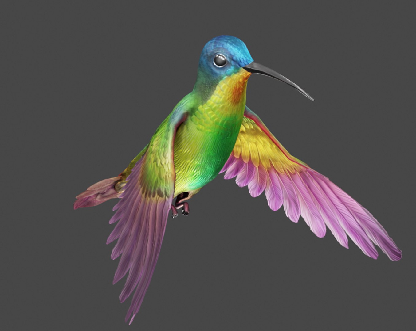 Flying Humming Bird 3D Model - TurboSquid 2360289