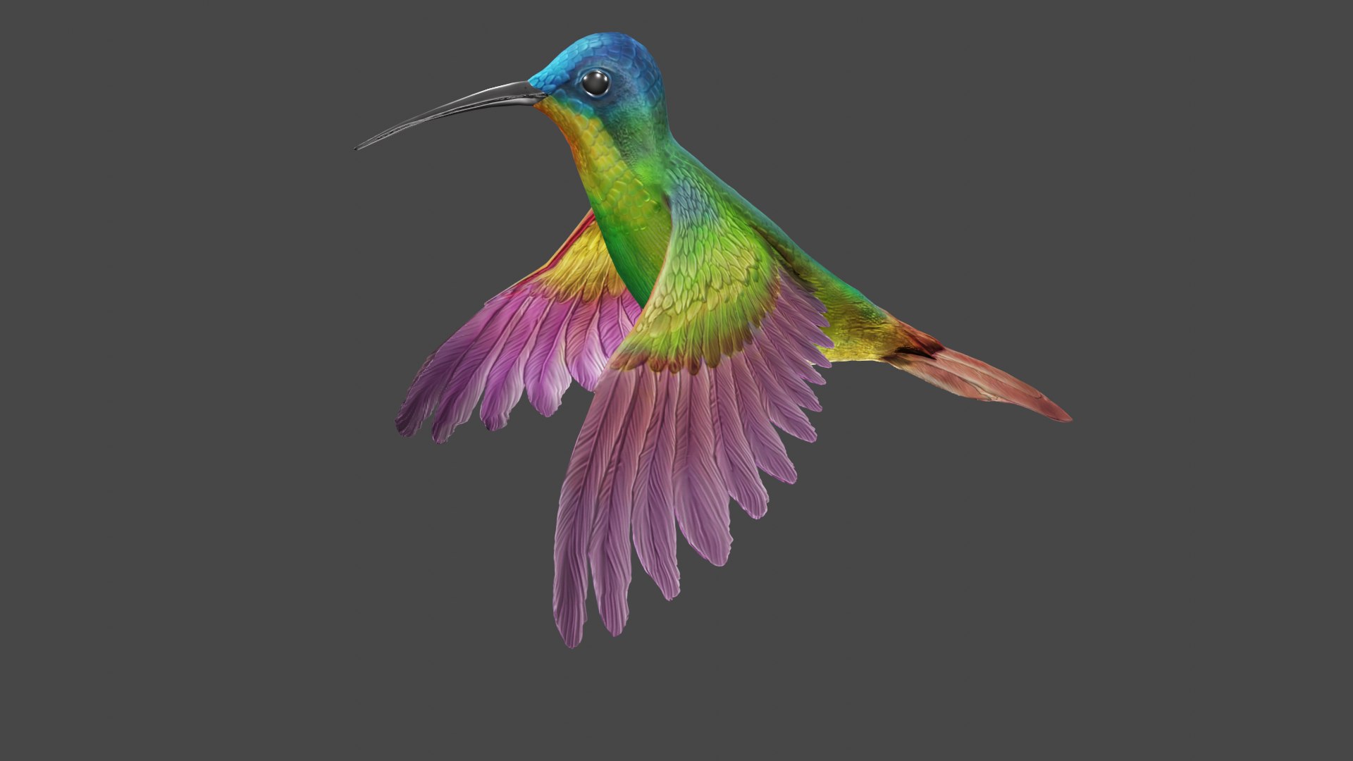 Flying Humming Bird 3D Model - TurboSquid 2360289