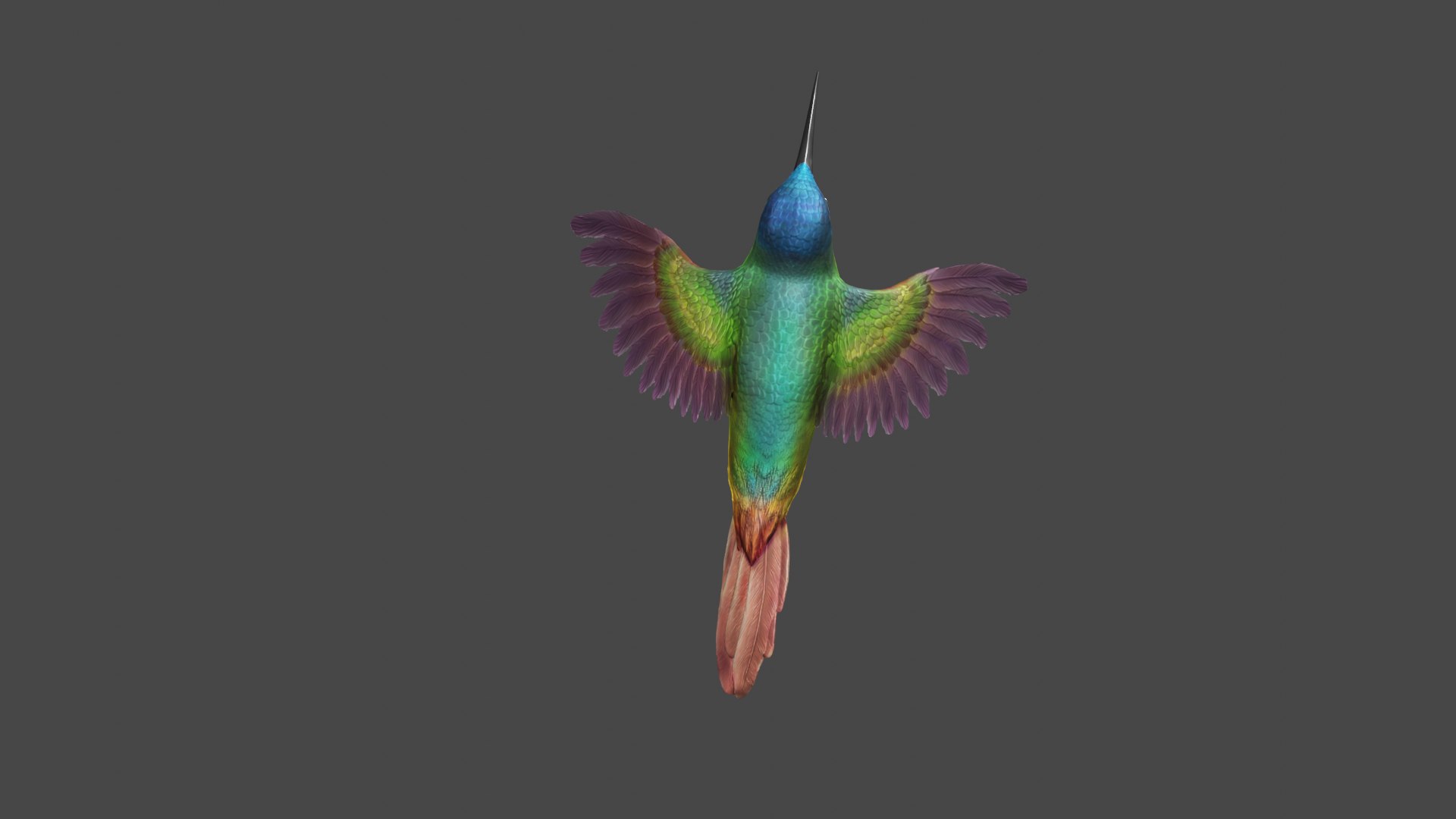 Flying Humming Bird 3D Model - TurboSquid 2360289