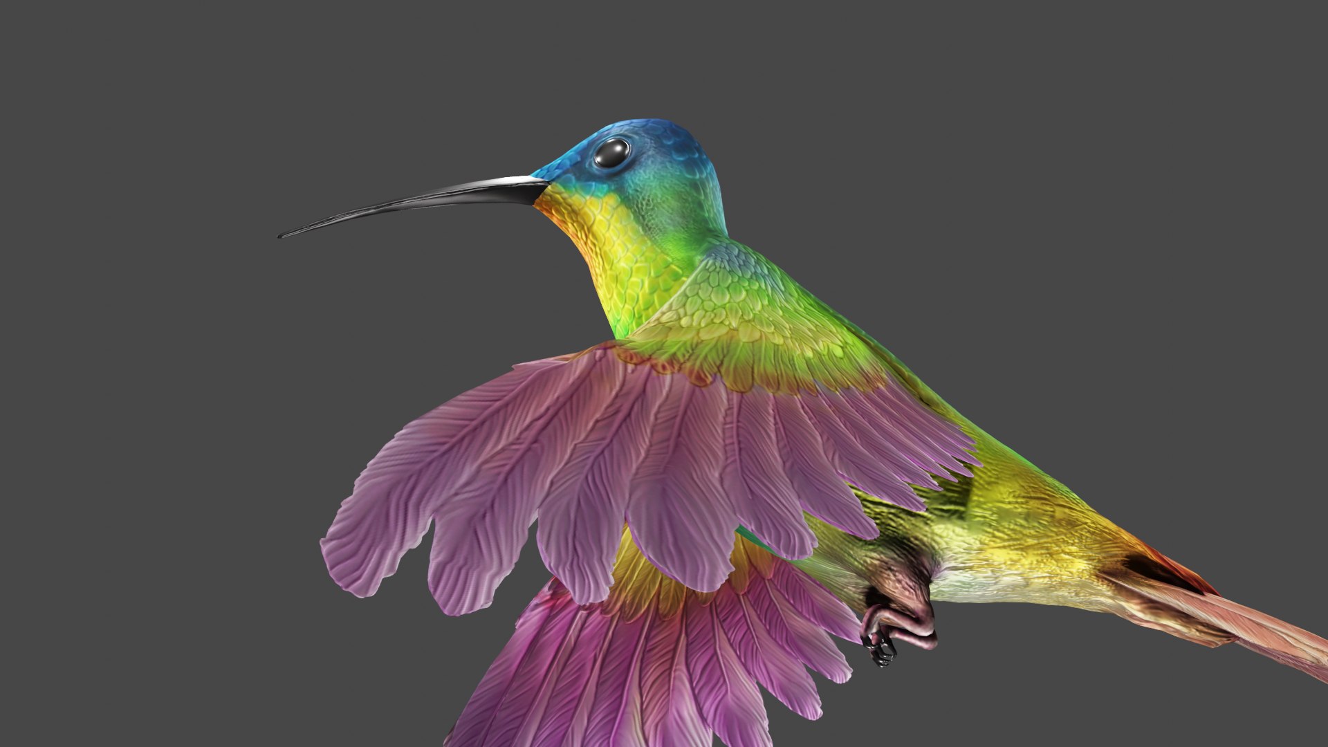 Flying Humming Bird 3D Model - TurboSquid 2360289