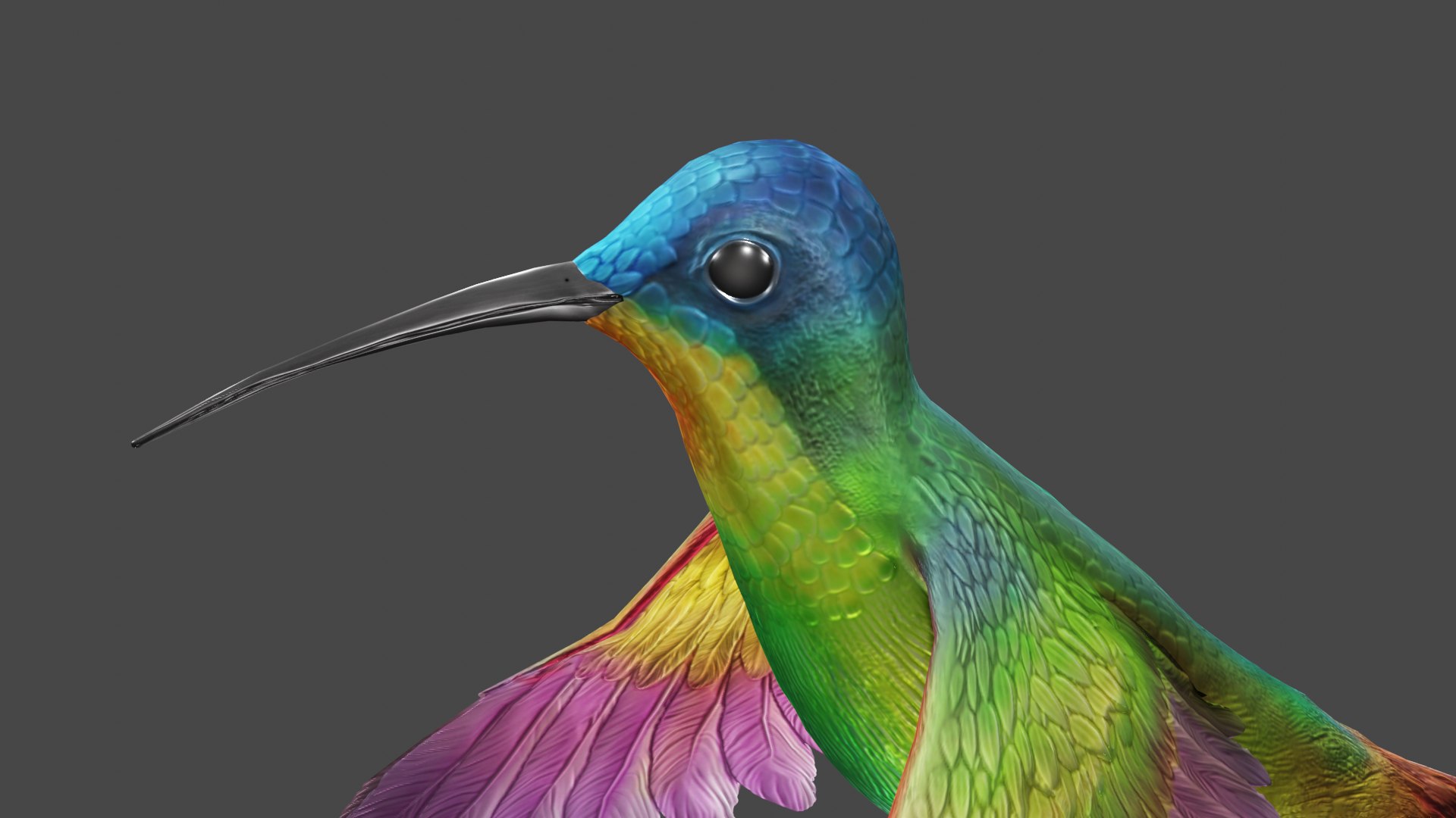 Flying Humming Bird 3D Model - TurboSquid 2360289
