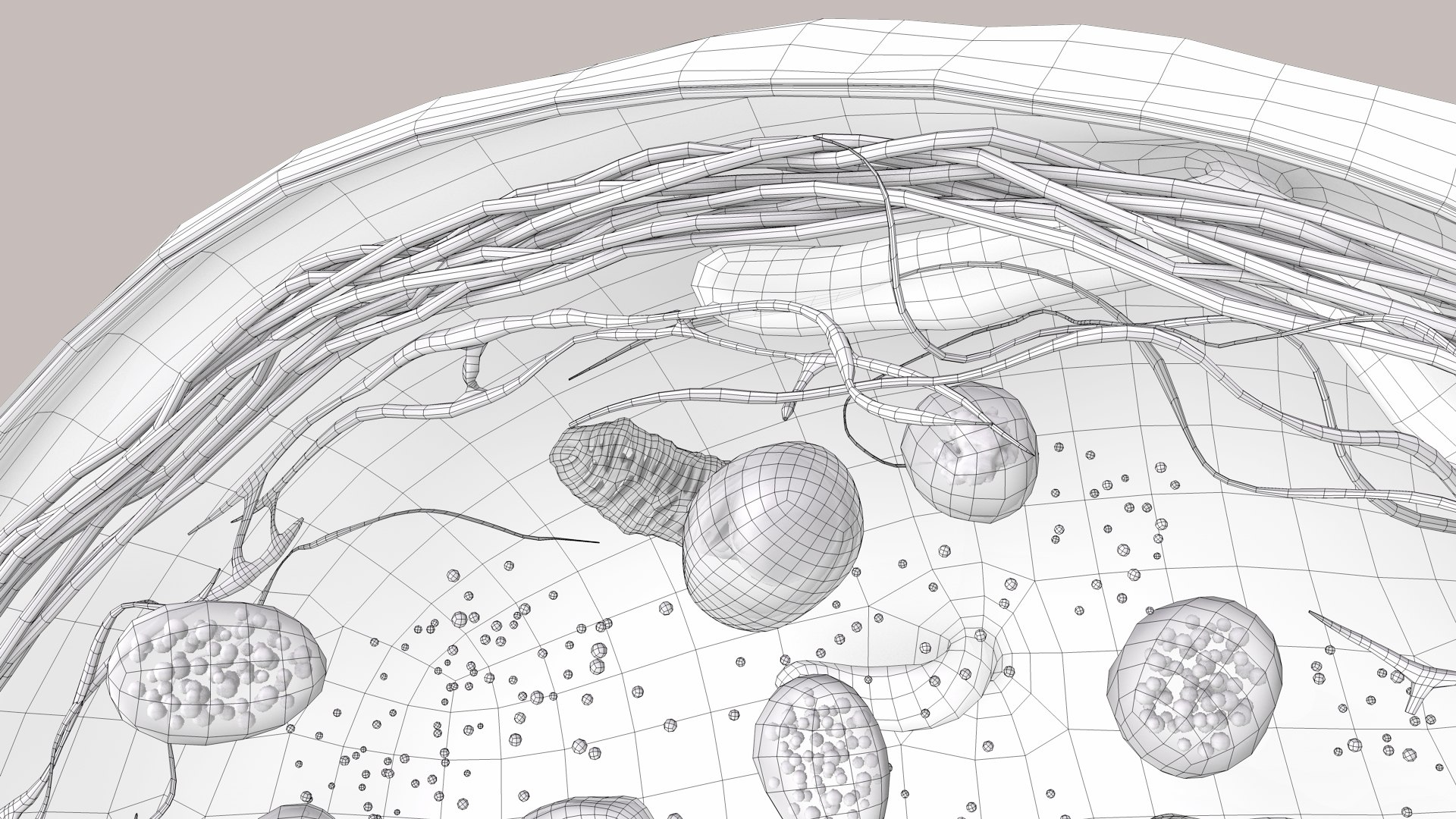 Platelet membrane glycogen 3D - TurboSquid 1504500