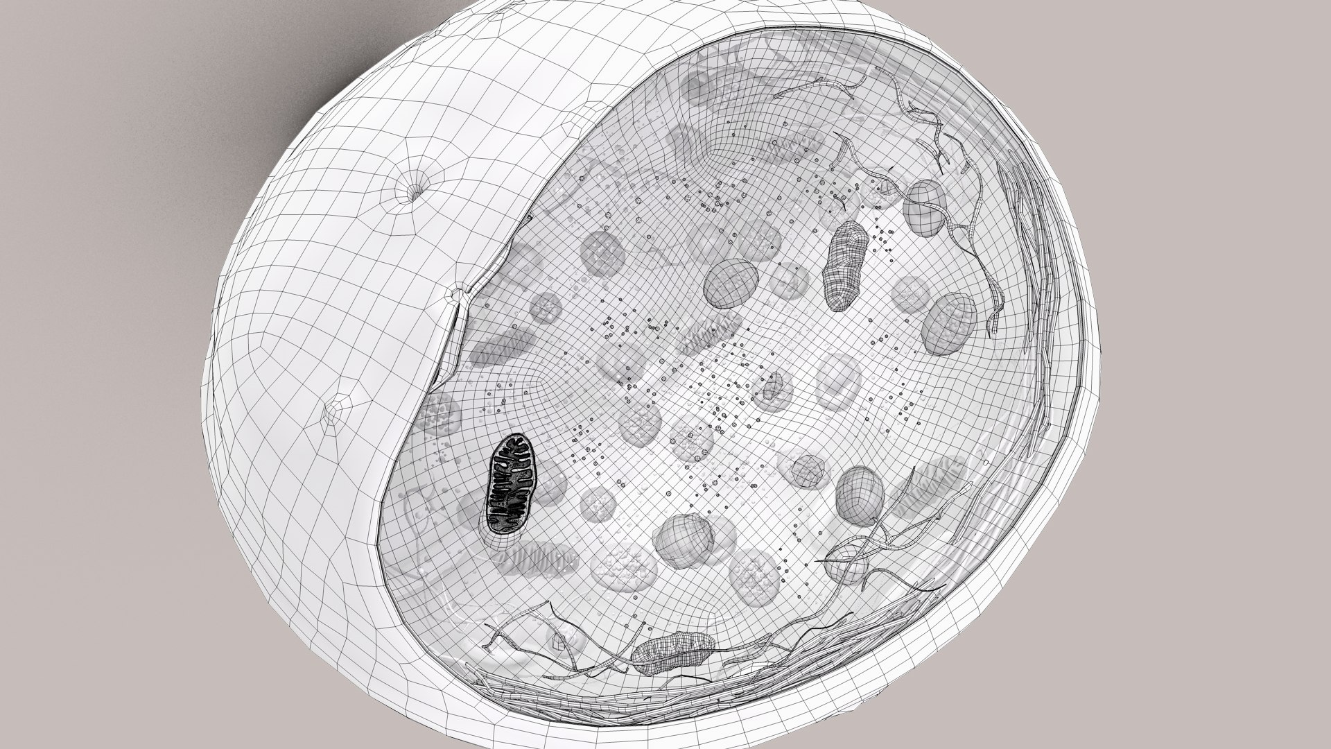 Platelet membrane glycogen 3D - TurboSquid 1504500