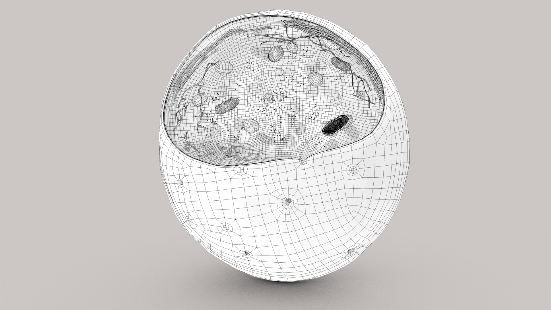 Platelet Membrane Glycogen 3D - TurboSquid 1504500